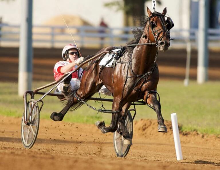 Online Harness Racing Betting Guide For New Zealand Punters